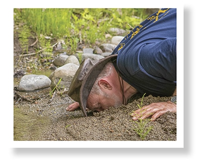 Four Bushcrafting Skills to Master This Summer - Activities Guide of Maine